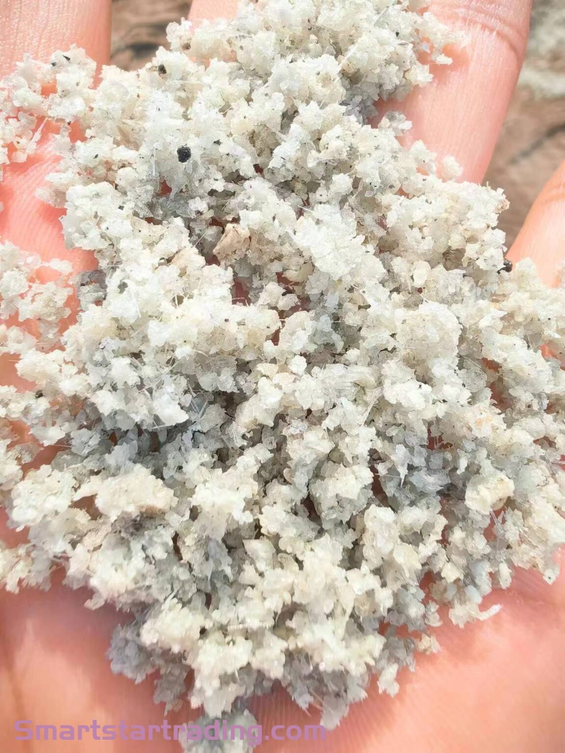 LANBEI – SS TRADING CO., LTD